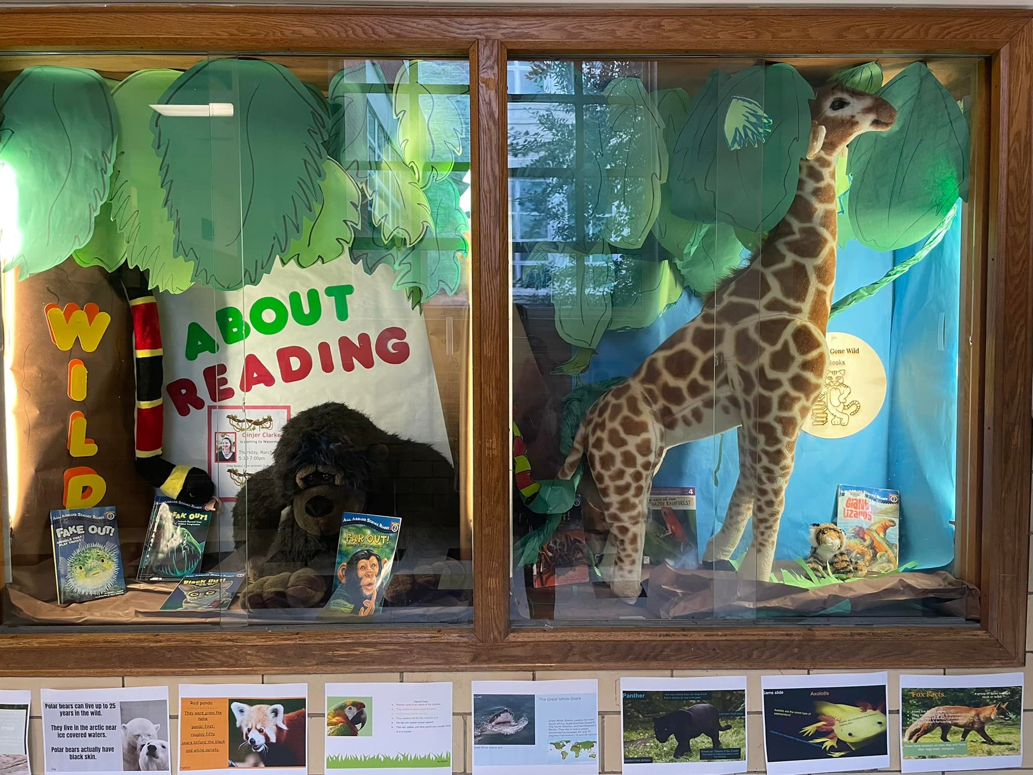 Author Visits | Ginjer Clarke