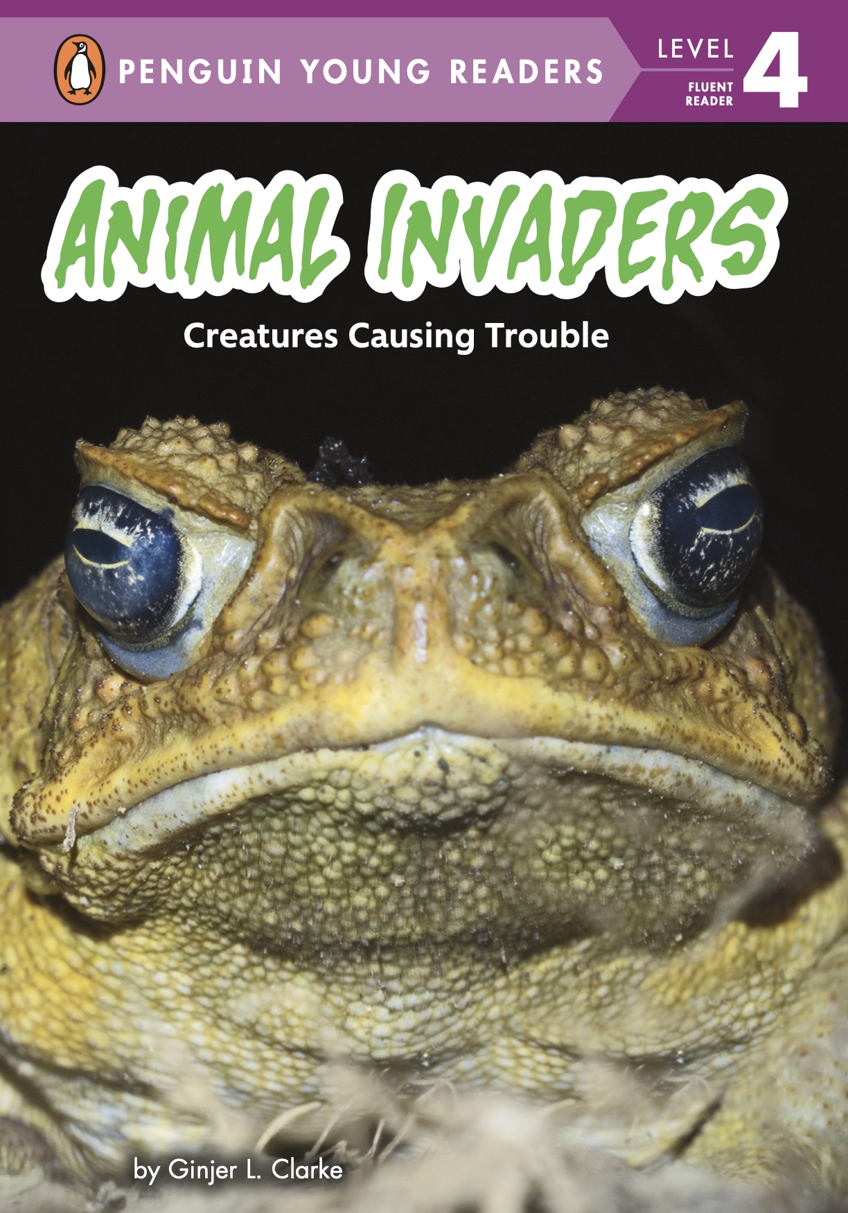 Animal Invaders | Ginjer Clarke